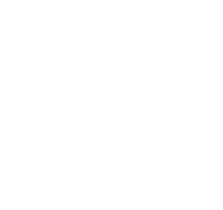 Smart Vulnerability Management Edgescan